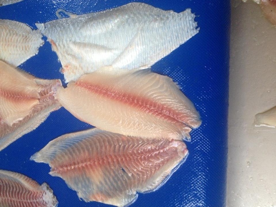 Automatic fish skinning machine V3668 (Fresh salmon, Fresh trout) | VARLET