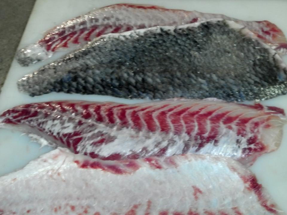 Automatic fish skinning machine V1558 (Thick skin fillet, Fresh salmon ...