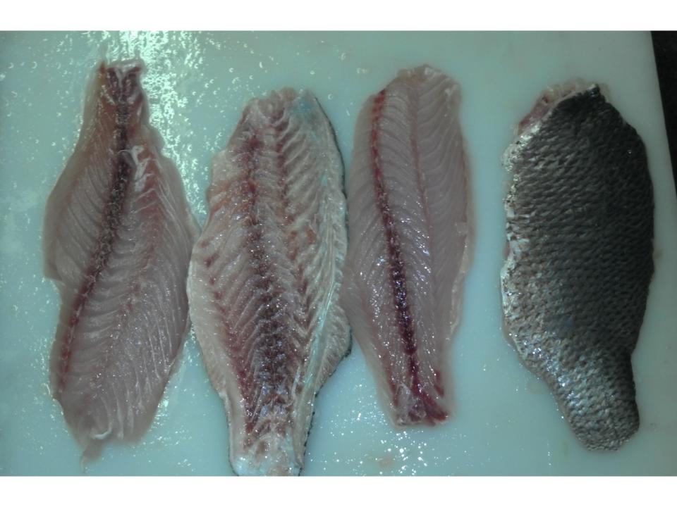 Automatic fish skinning machine V1558 (Thick skin fillet, Fresh salmon ...