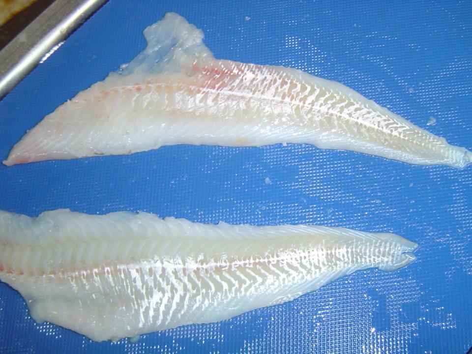 Automatic fish skinning machine V1588 S (White fish) | VARLET