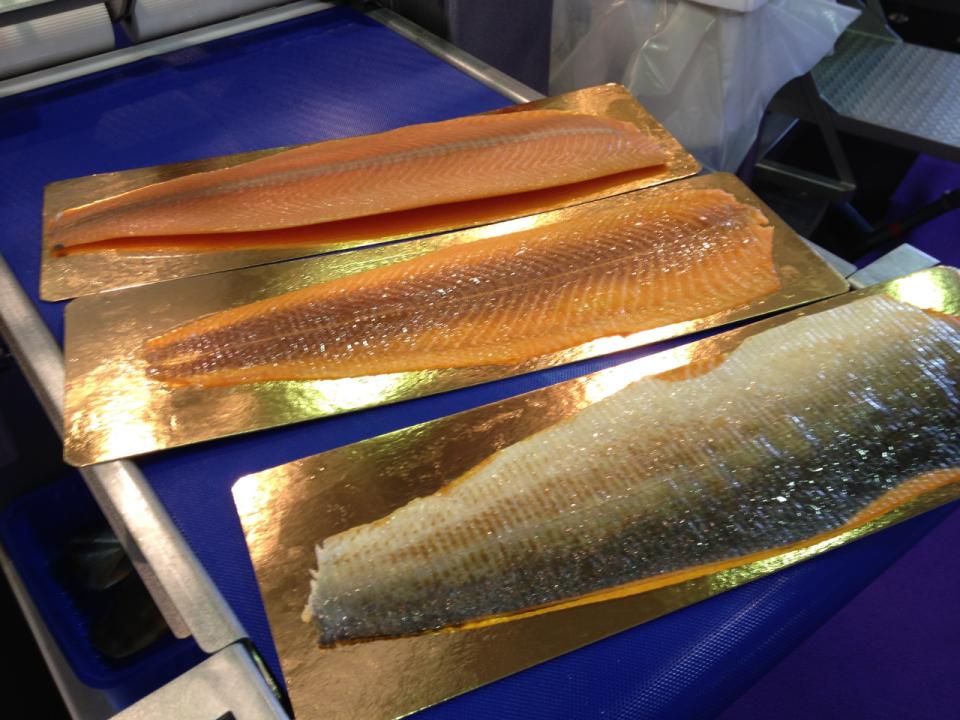 Automatic fish skinning machine V3668 (Fresh salmon, Fresh trout) | VARLET