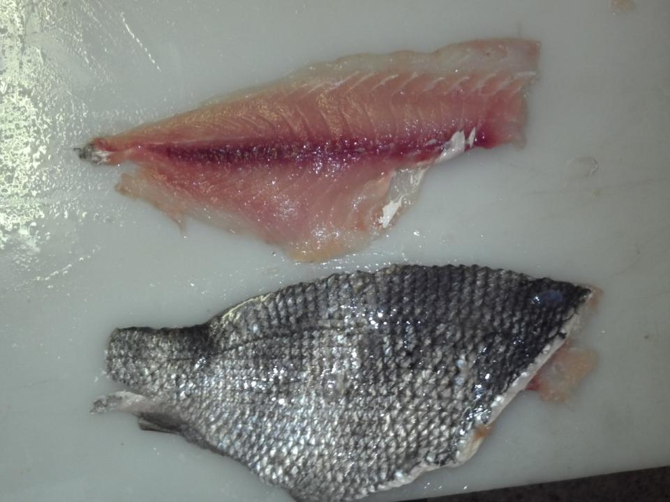 Automatic fish skinning machine V1558 (Thick skin fillet, Fresh salmon ...