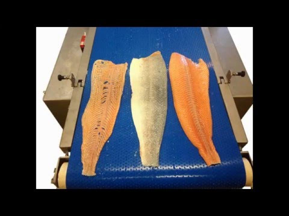 Automatic fish skinning machine V3668 (Fresh salmon, Fresh trout) | VARLET